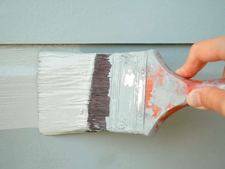 Guide to The Best Mold Resistant Paints | Precision Painting Plus
